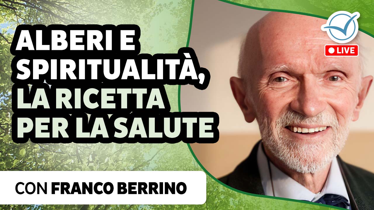 Alberi e spiritualità, la ricetta per la salute - Macrolibrarsi Live