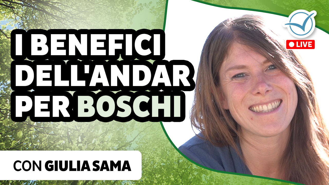 I benefici dell'andar per boschi - Macrolibrarsi Live